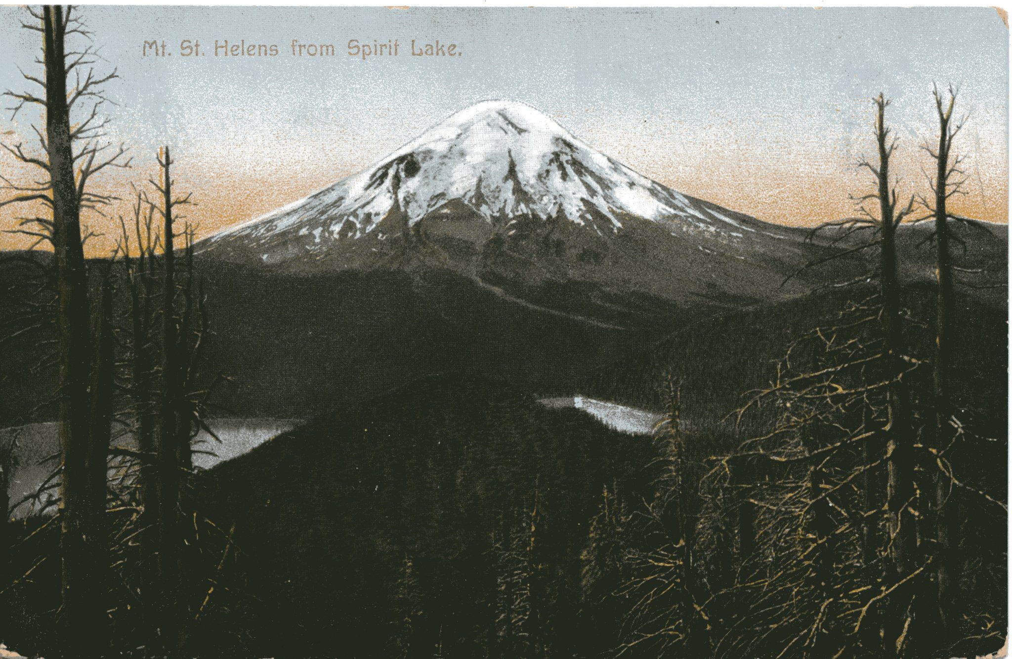Who is Miss Ruth Nystrom of Arleta? – Swedish Roots in Oregon